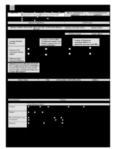 PPP-Second-Draw-Borrower-Application-Form-revised-2-17-21 | The ...
