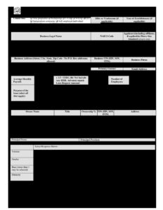 PPP First Draw Borrower Application Form (revised 3.3.2021) | The ...